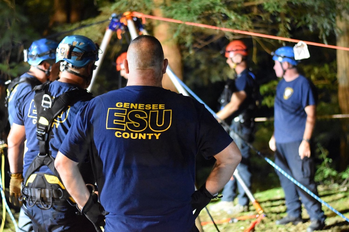 Task Force Report - Genesee County, New York